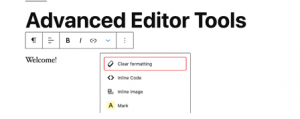 WordPress TinyMCE Advanced Plugin Settings | Mbrsolution